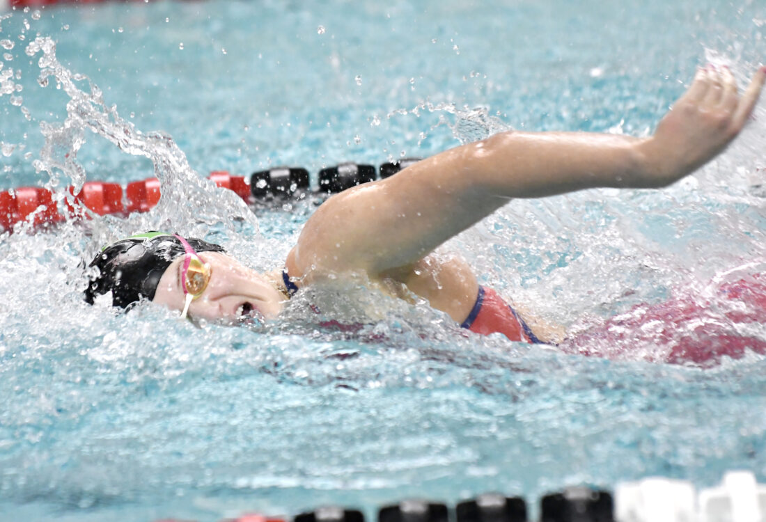 Lewisburg’s Shannon, Williamsport’s Cohick earn two wins at ...